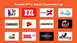 9 Best Adult IPTV Providers Of 2025 [18+ Videos]