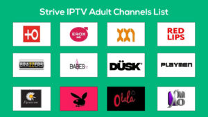9 Best Adult IPTV Providers Of 2025 [18+ Videos]