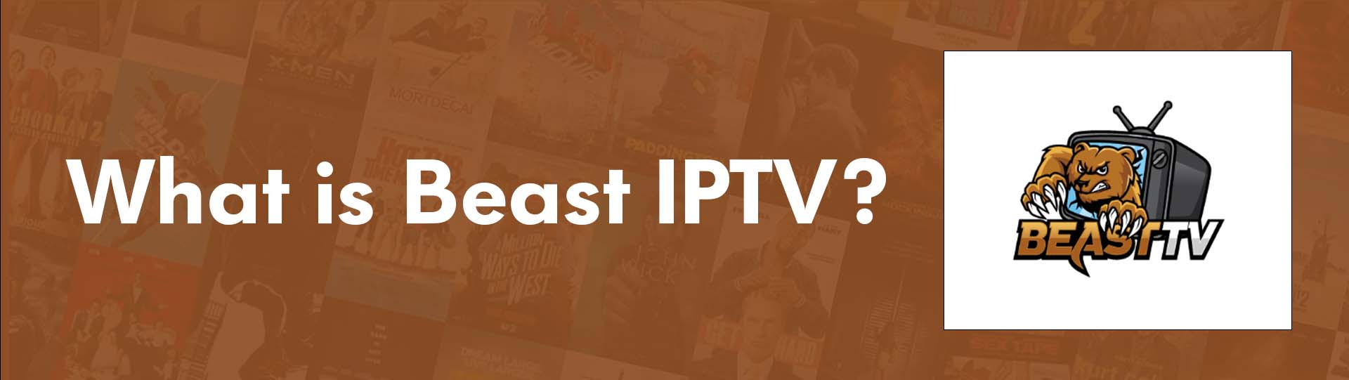 Beast IPTV Review – Let’s Check The Comprehensive Overview - IPTVRepair.com